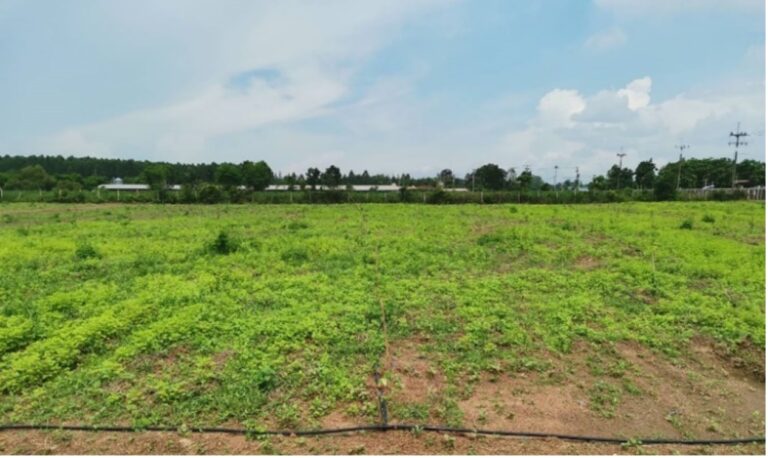 Uplifting lives through sustainable energy | BAFS Clean Energy